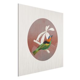 Alu Dibond Outdoor Bild - Vogel Collage im Kreis II - Tiere bunt Illustration Aquarell V&ouml;gel Wohnzimmer Schlafzimmer