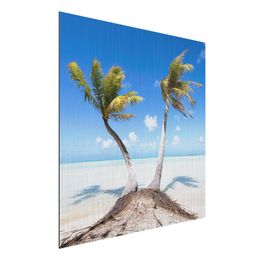 Alu Dibond Outdoor Bild - Urlaub unter Palmen - Strand blau Tropisch wetterfest Himmel Wohnzimmer Schlafzimmer