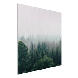 Alu Dibond Outdoor Bild - Wald im Nebel D&auml;mmerung - Wald gr&uuml;n Motiv wetterfest B&auml;ume Wohnzimmer Schlafzimmer