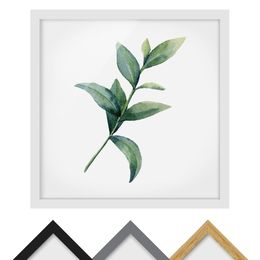 Bilderwelten Bild mit Rahmen Aquarell Eucalyptus II