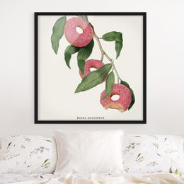 Bilderwelten Bild mit Rahmen Vintage Pflanze - Donut