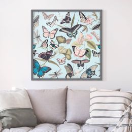 Bilderwelten Bild mit Rahmen Tiere bunt Vintage inkl. Rahmung - Vintage Collage - Schmetterlinge und Libellen - Retro Wohnzimmer Schlafzimmer