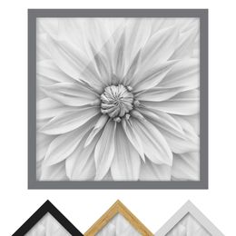 Bilderwelten Bild mit Rahmen Botanische Bl&uuml;te in Wei&szlig;