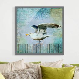 Bilderwelten Bild mit Rahmen Tiere blau Shabby inkl. Rahmung - Vintage Collage - Seem&ouml;we auf Holzplanken - V&ouml;gel Wohnzimmer Schlafzimmer