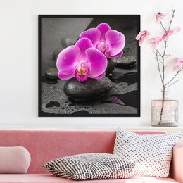 Bilderwelten Bild mit Rahmen Pinke Orchideenbl&uuml;ten auf Steinen mit Tropfen