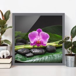 Bilderwelten Bild mit Rahmen Spirituell gr&uuml;n Motiv Steinoptik - Gr&uuml;ner Bambus mit Orchideenbl&uuml;te - Orchidee Wohnzimmer Schlafzimmer