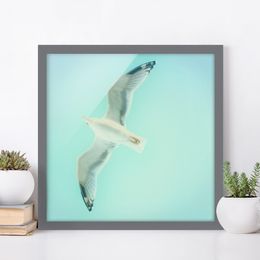 Bilderwelten Bild mit Rahmen Blauer Himmel mit M&ouml;we