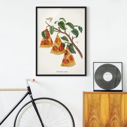 Bilderwelten Bild mit Rahmen Vintage Pflanze - Pizza