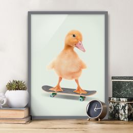 Bilderwelten Bild mit Rahmen Skate Ente