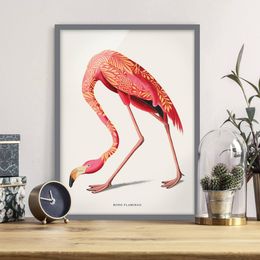 Bilderwelten Bild mit Rahmen Tiere pink Vintage inkl. Rahmung - Boho Vogel - Flamingo - Lustig Wohnzimmer Schlafzimmer