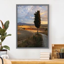 Bilderwelten Bild mit Rahmen Feldweg mit Baum