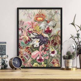 Bilderwelten Bild mit Rahmen Nymphe mit Orchideen