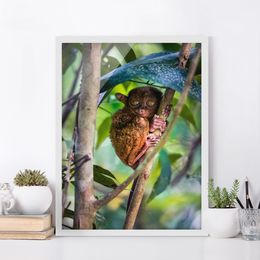 Bilderwelten Bild mit Rahmen Tiere gr&uuml;n Motiv inkl. Rahmung - Koboldmaki - Deko Wohnzimmer Schlafzimmer