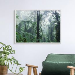 Bilderwelten Bild mit Rahmen Wald gr&uuml;n Motiv inkl. Rahmung - Monteverde Nebelwald - B&auml;ume Wohnzimmer Schlafzimmer