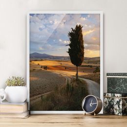 Bilderwelten Bild mit Rahmen Wald gelb Motiv inkl. Rahmung - Feldweg mit Baum - B&auml;ume Wohnzimmer Schlafzimmer