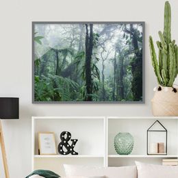 Bilderwelten Bild mit Rahmen Monteverde Nebelwald