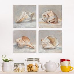 Bilderwelten Leinwandbild Tiere modern Kunstdruck Leinwanddruck - Muschel-Studie Set II - Wandbild XXL Wohnzimmer Schlafzimmer