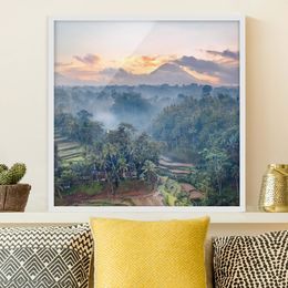 Bilderwelten Bild mit Rahmen Natur gr&uuml;n Motiv inkl. Rahmung - Landschaft in Bali - Landschaft Wohnzimmer Schlafzimmer