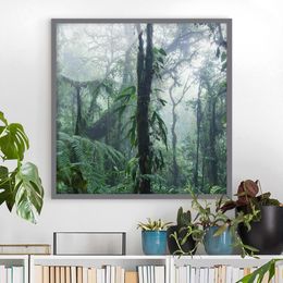 Bilderwelten Bild mit Rahmen Monteverde Nebelwald