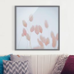 Bilderwelten Bild mit Rahmen Rosa Gr&auml;serspitzen