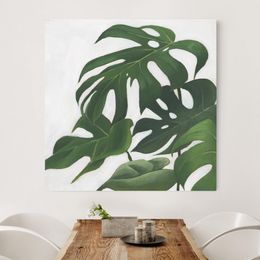 Bilderwelten Leinwandbild - Quadrat Lieblingspflanzen - Monstera