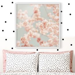 Bilderwelten Bild mit Rahmen Blumen rosa Landhaus inkl. Rahmung - Kirschbl&uuml;ten Glow - Kirschbl&uuml;te Wohnzimmer Schlafzimmer