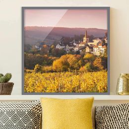 Bilderwelten Bild mit Rahmen Weinberge in Frankreich