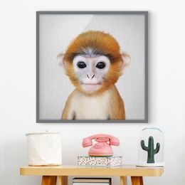 Bilderwelten Bild mit Rahmen Baby Affe Anton