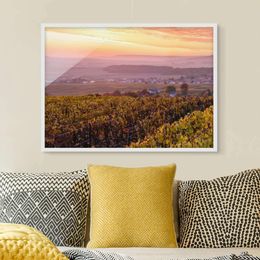 Bilderwelten Bild mit Rahmen Weinplantage bei Sonnenuntergang