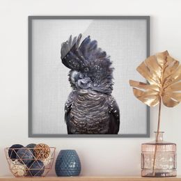 Bilderwelten Bild mit Rahmen Tiere schwarz weiss Motiv inkl. Rahmung - Kakadu Kanye - V&ouml;gel Kinderzimmer Baby M&auml;dchen Jungen