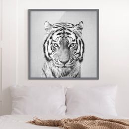 Bilderwelten Bild mit Rahmen Tiere schwarz weiss Motiv inkl. Rahmung - Tiger Tiago Schwarz Wei&szlig; - Tiger Kinderzimmer Baby M&auml;dchen Jungen
