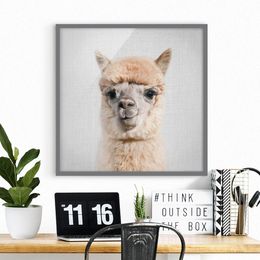 Bilderwelten Bild mit Rahmen Tiere schwarz weiss Motiv inkl. Rahmung - Alpaka Alfred - Deko Kinderzimmer Baby M&auml;dchen Jungen
