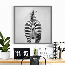 Bilderwelten Bild mit Rahmen Tiere schwarz weiss Motiv inkl. Rahmung - Zebra von hinten Schwarz Wei&szlig; - Zebra Kinderzimmer Baby M&auml;dchen Jungen