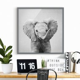 Bilderwelten Bild mit Rahmen Baby Elefant Elsa Schwarz Wei&szlig;