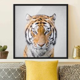 Bilderwelten Bild mit Rahmen Tiger Tiago