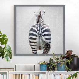 Bilderwelten Bild mit Rahmen Tiere schwarz weiss Motiv inkl. Rahmung - Zebra von hinten - Zebra Kinderzimmer Baby M&auml;dchen Jungen