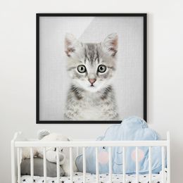 Bilderwelten Bild mit Rahmen Baby Katze Killi