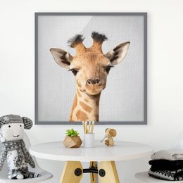 Bild mit Rahmen Baby Giraffe Gandalf