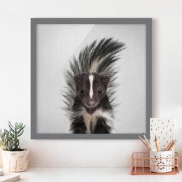 Bilderwelten Bild mit Rahmen Tiere schwarz weiss Motiv inkl. Rahmung - Stinktier Stuart - Deko Kinderzimmer Baby M&auml;dchen Jungen