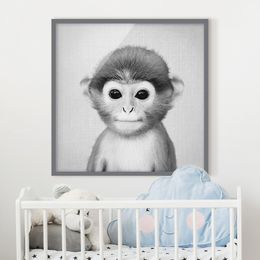 Bilderwelten Bild mit Rahmen Tiere schwarz weiss Motiv inkl. Rahmung - Baby Affe Anton Schwarz Wei&szlig; - Affe Kinderzimmer Baby M&auml;dchen Jungen