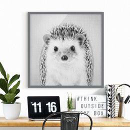 Bilderwelten Bild mit Rahmen Tiere schwarz weiss Motiv inkl. Rahmung - Igel Ingolf Schwarz Wei&szlig; - Deko Kinderzimmer Baby M&auml;dchen Jungen