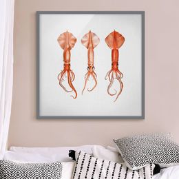 Bilderwelten Bild mit Rahmen Strand rot Illustration inkl. Rahmung - Vintage Illustration Rote Tintenfische - Unterwasser Wohnzimmer Schlafzimmer