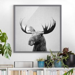 Bilderwelten Bild mit Rahmen Tiere schwarz weiss Motiv inkl. Rahmung - Elch Erhardt Schwarz Wei&szlig; - Deko Kinderzimmer Baby M&auml;dchen Jungen
