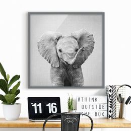 Bilderwelten Bild mit Rahmen Tiere schwarz weiss Motiv inkl. Rahmung - Baby Elefant Elsa Schwarz Wei&szlig; - Elefant Kinderzimmer Baby M&auml;dchen Jungen