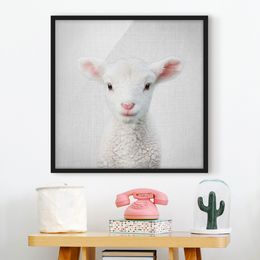 Bilderwelten Bild mit Rahmen Baby Lamm Lina