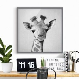 Bilderwelten Bild mit Rahmen Tiere schwarz weiss Motiv inkl. Rahmung - Baby Giraffe Gandalf Schwarz Wei&szlig; - Giraffen Kinderzimmer Baby M&auml;dchen Jungen