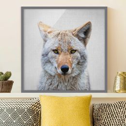 Bilderwelten Bild mit Rahmen Tiere schwarz weiss Motiv inkl. Rahmung - Kojote Kalle - Deko Kinderzimmer Baby M&auml;dchen Jungen
