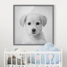 Bilderwelten Bild mit Rahmen Tiere schwarz weiss Motiv inkl. Rahmung - Baby Golden Retriever Gizmo Schwarz Wei&szlig; - Hund Kinderzimmer Baby M&auml;dchen Jungen
