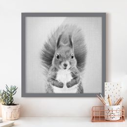 Bilderwelten Bild mit Rahmen Tiere schwarz weiss Motiv inkl. Rahmung - Eichh&ouml;rnchen Elisabeth Schwarz Wei&szlig; - Deko Kinderzimmer Baby M&auml;dchen Jungen