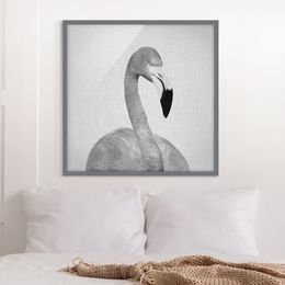 Bilderwelten Bild mit Rahmen Tiere schwarz weiss Motiv inkl. Rahmung - Flamingo Fabian Schwarz Wei&szlig; - V&ouml;gel Kinderzimmer Baby M&auml;dchen Jungen